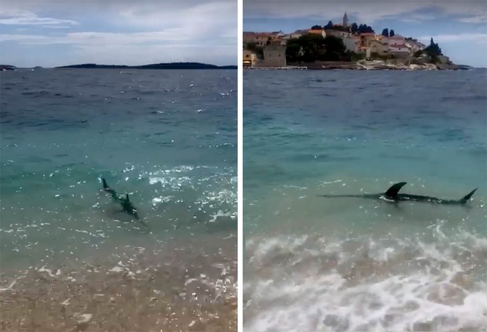 Mečoun, bagr a mladíci na pláži - Cruising